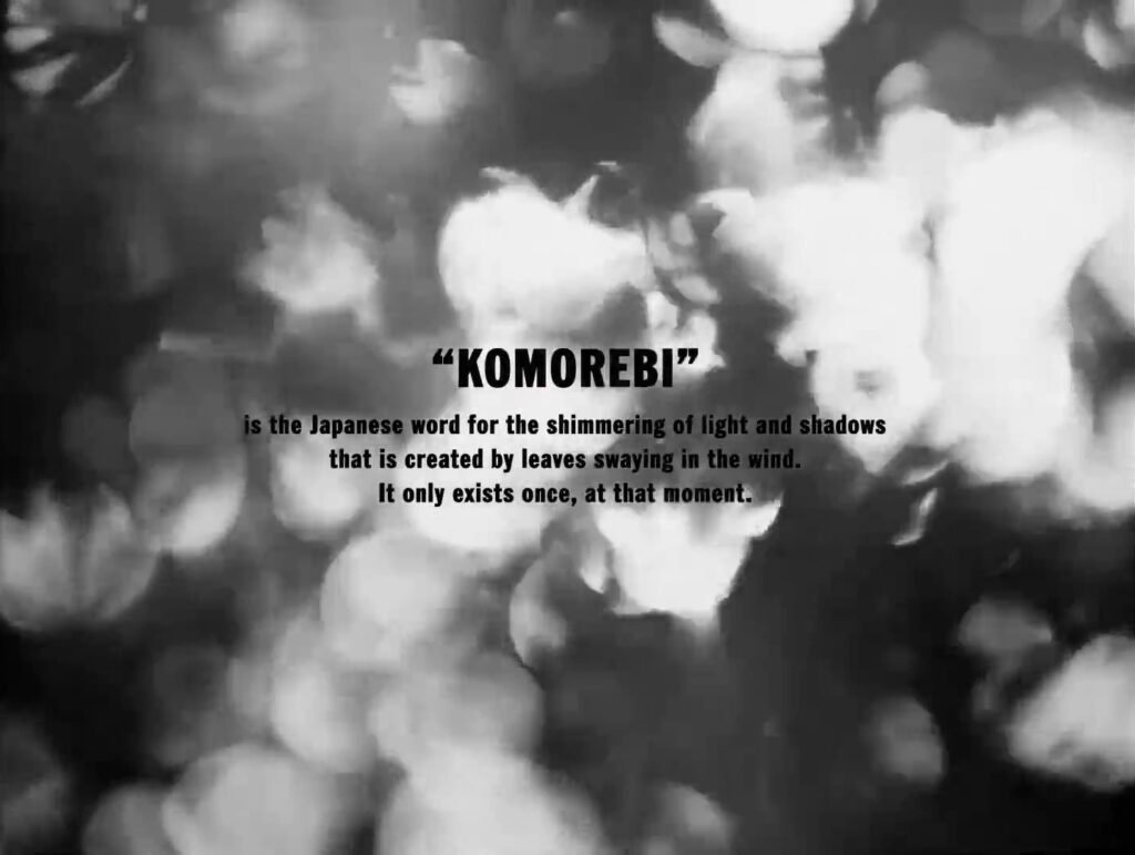 Perfect Days: Komorebi, Seneca e Wim Wenders - ArteSettima